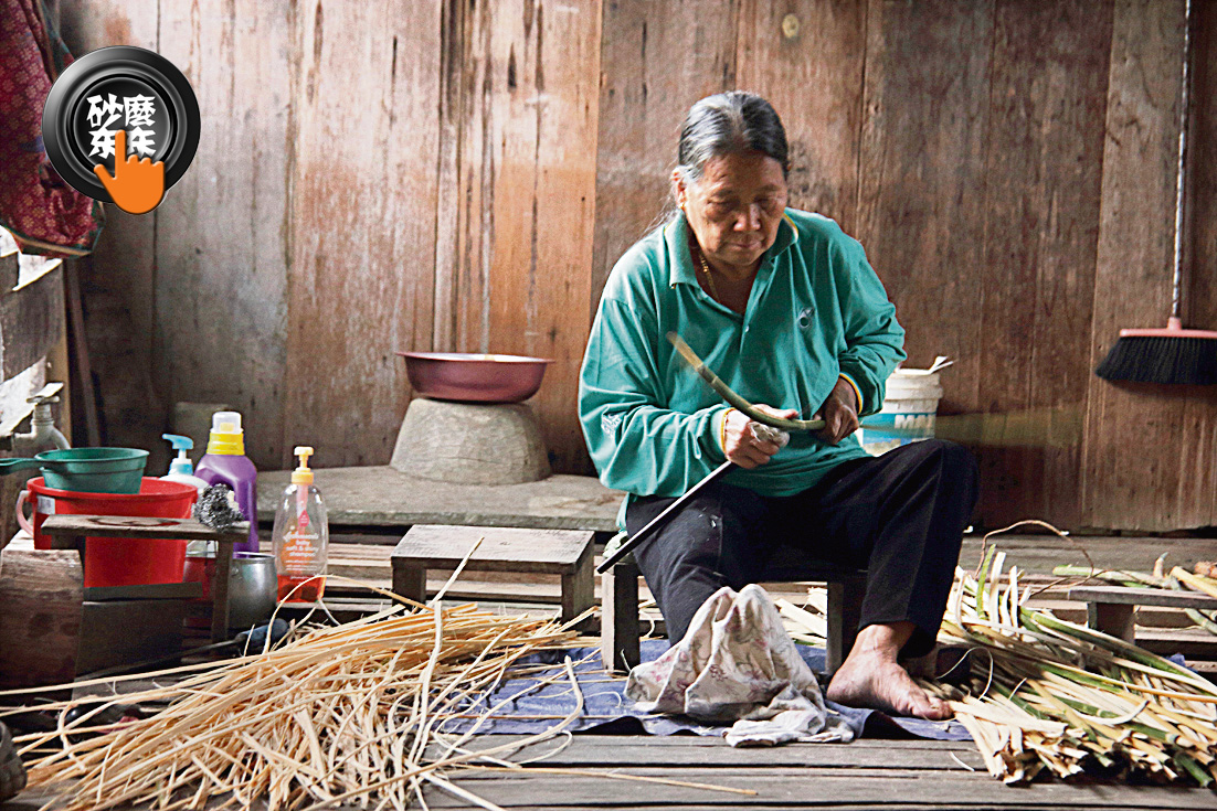 一堂本土民族植物课（下） 非一般的知识 林里生活的智慧 – 砂麼東東