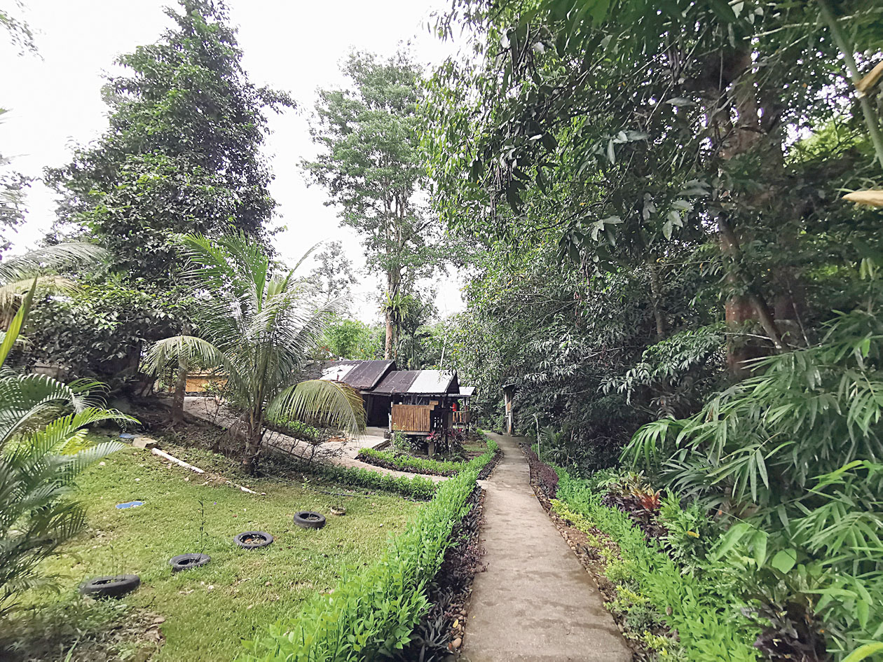竹林里的人间美境 LIBIKI BAMBOO RESORT – 砂麼東東