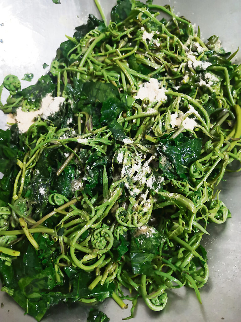 树菜midin蕨菜【纯素】 – 砂麼東東